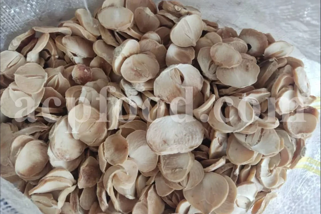 High Quality Wholesale Persian Shallot Bulbs for Export